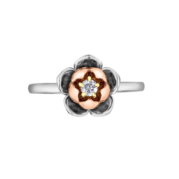 Shelly Purdy 14K White, Rose and Yellow Gold Newfoundland & Ladrador P ...